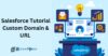 Custom Domain & URL Setup For Salesforce Experience Cloud Site ...