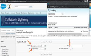 Custom Domain & URL Setup For Salesforce Experience Cloud Site ...
