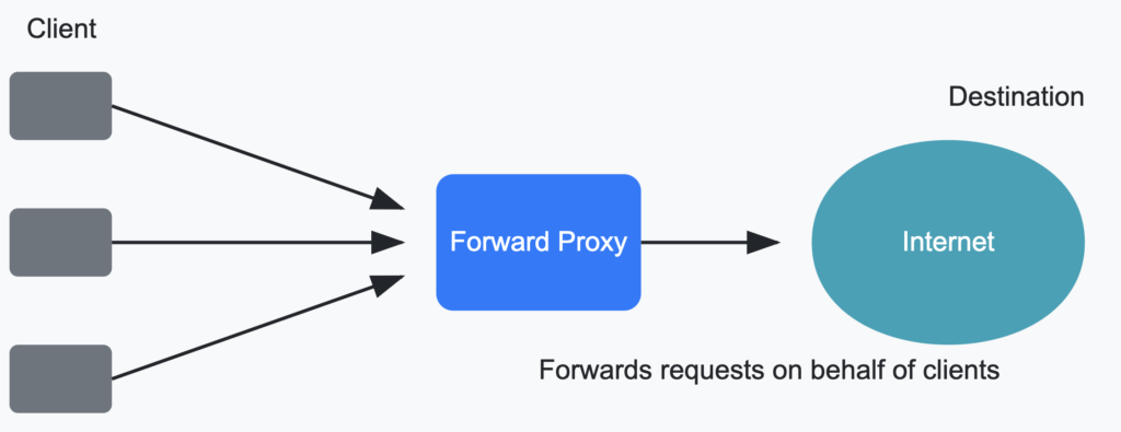 Understanding Forward Proxy vs Reverse Proxy - ReviewNPrep